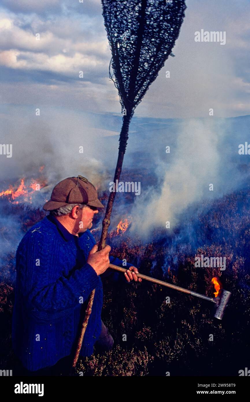 Heather burning the traditional way in Scotland the man and his tools ...