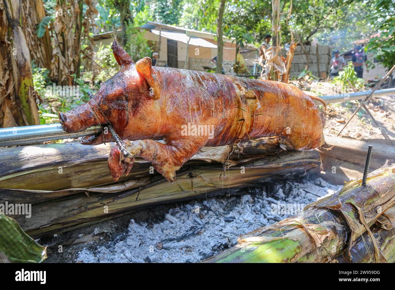 Calamba, Philippines. December 24, 2023 : Filipinos preparing suckling ...