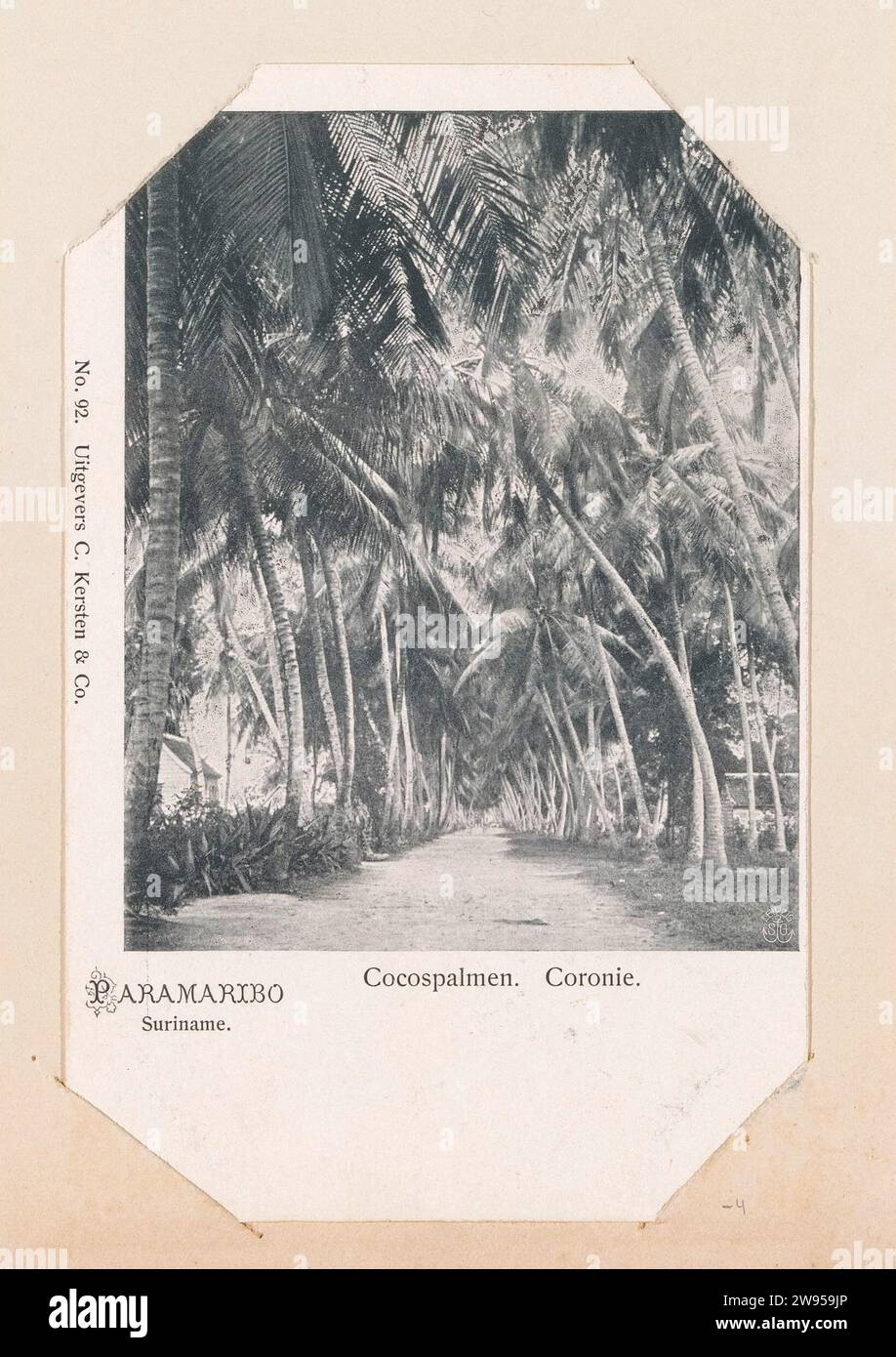 Kokospalmen, C. Kersten & Co., anonymous, 1900 - 1910 Coconut palms on ...