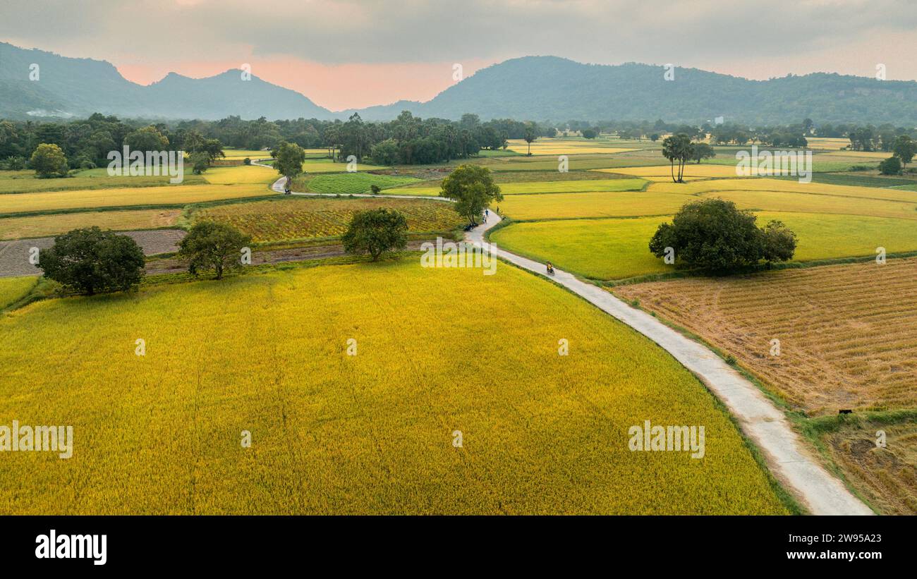 Ta pa rice fields, vietnam hi-res stock photography and images - Alamy