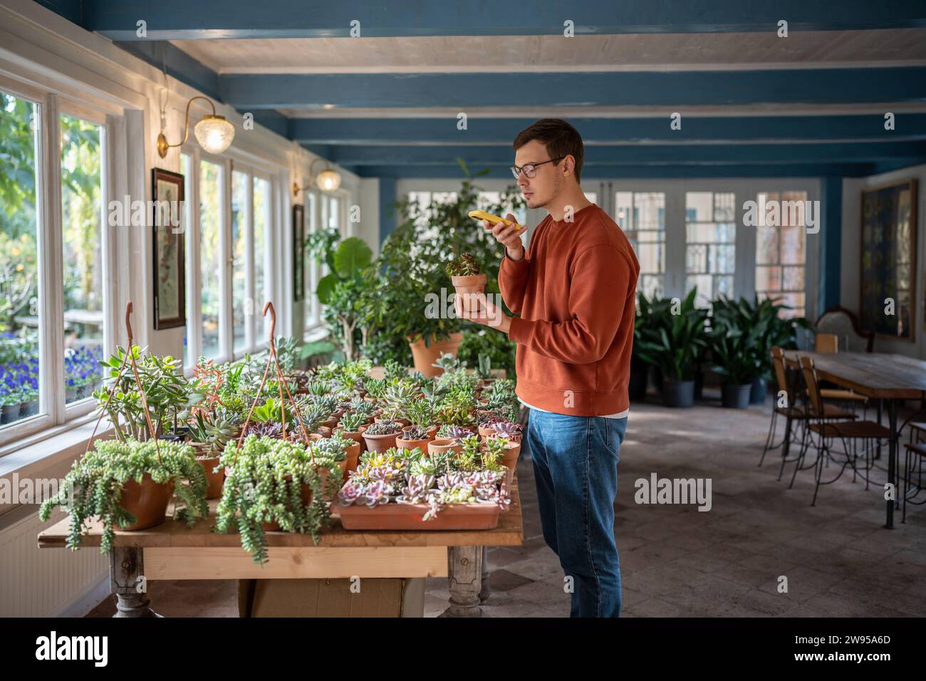 Plant lover checking flower names by making photos, reading information ...