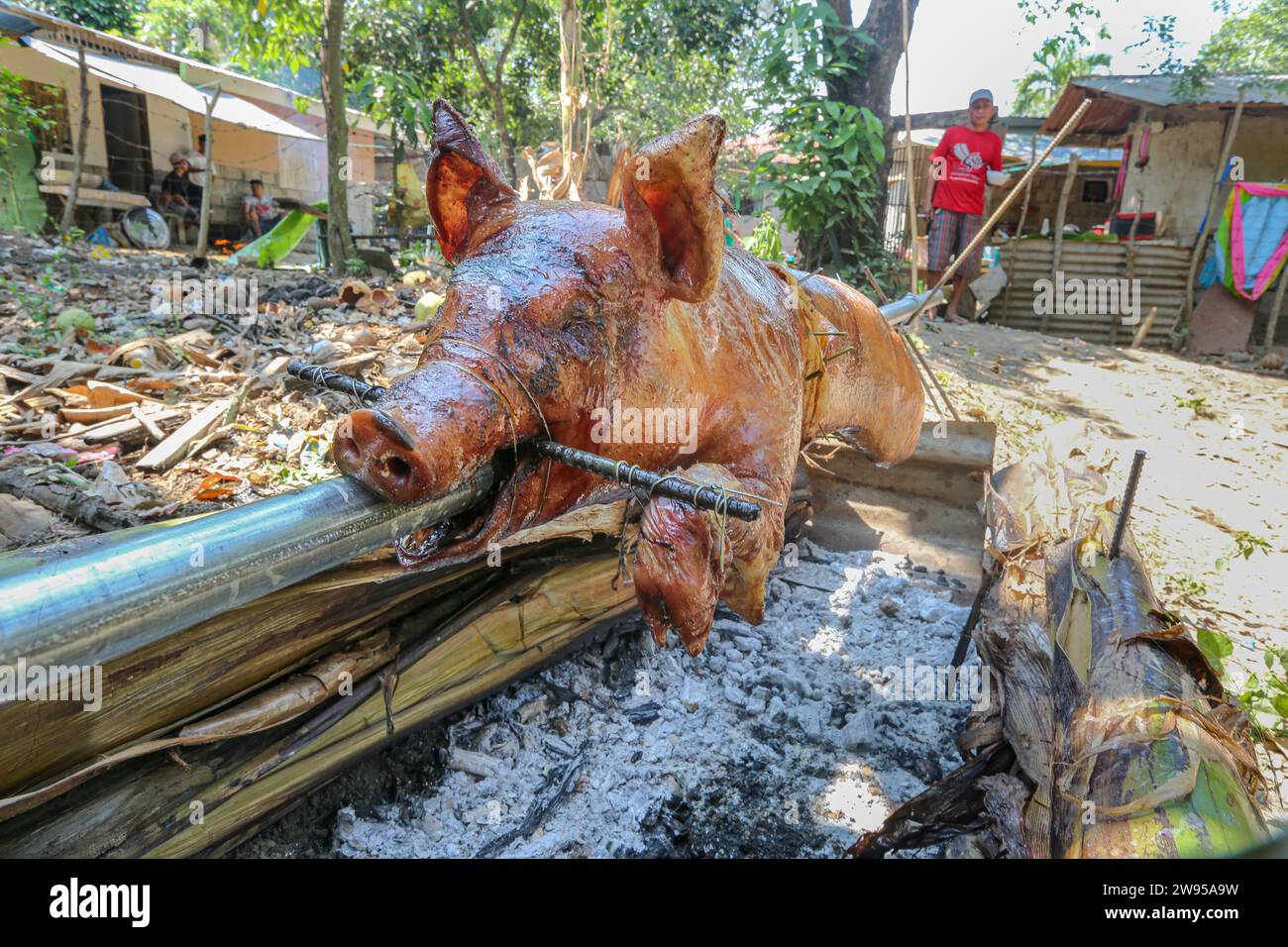 Calamba, Philippines. December 24, 2023 : Filipinos preparing suckling ...
