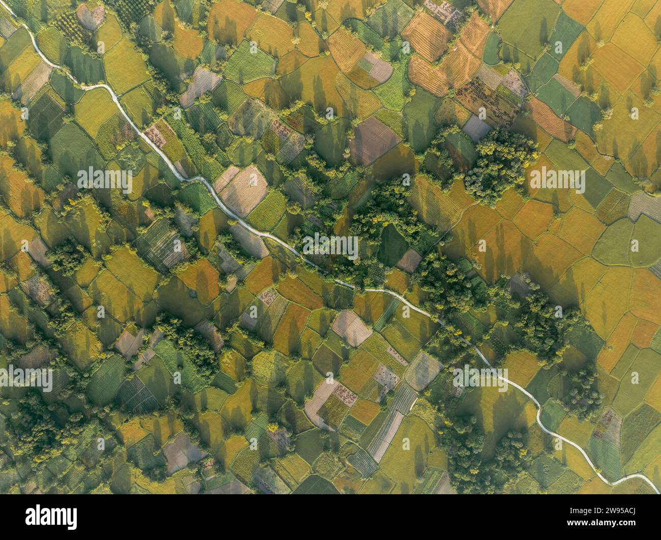 Ta pa rice fields, vietnam hi-res stock photography and images - Alamy