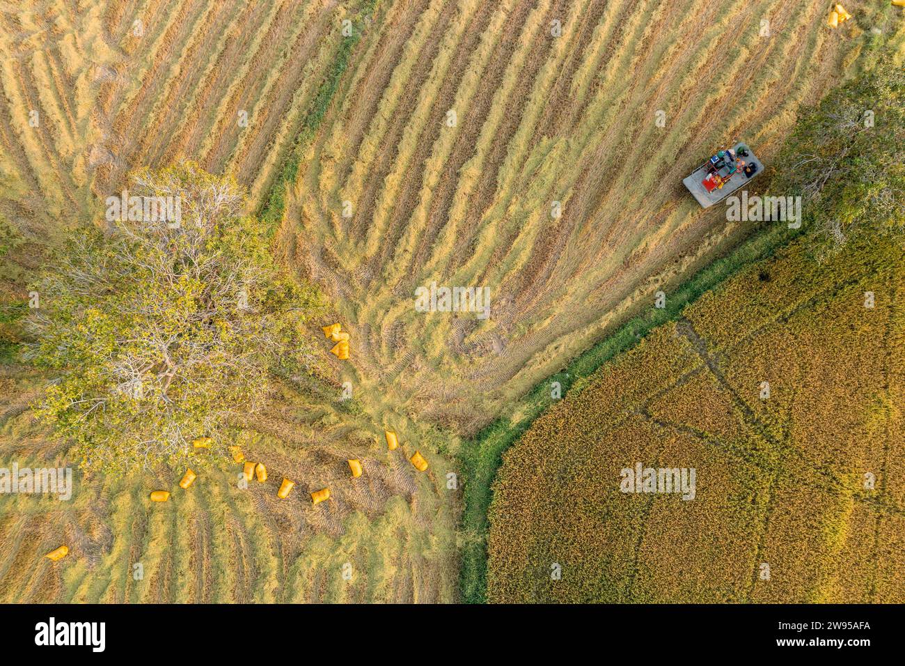 Ta pa rice fields, vietnam hi-res stock photography and images - Alamy