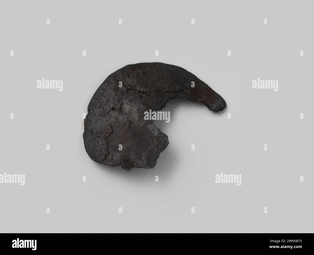 Fragment disc -shaped object from the wreck of the East Indies ...