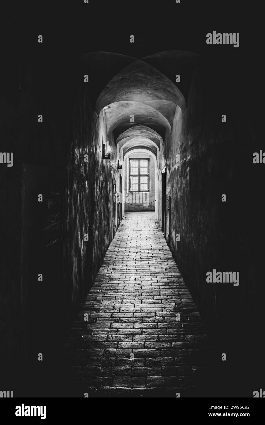 Dark and empty corridor of medieval castle. Black and white image Stock ...