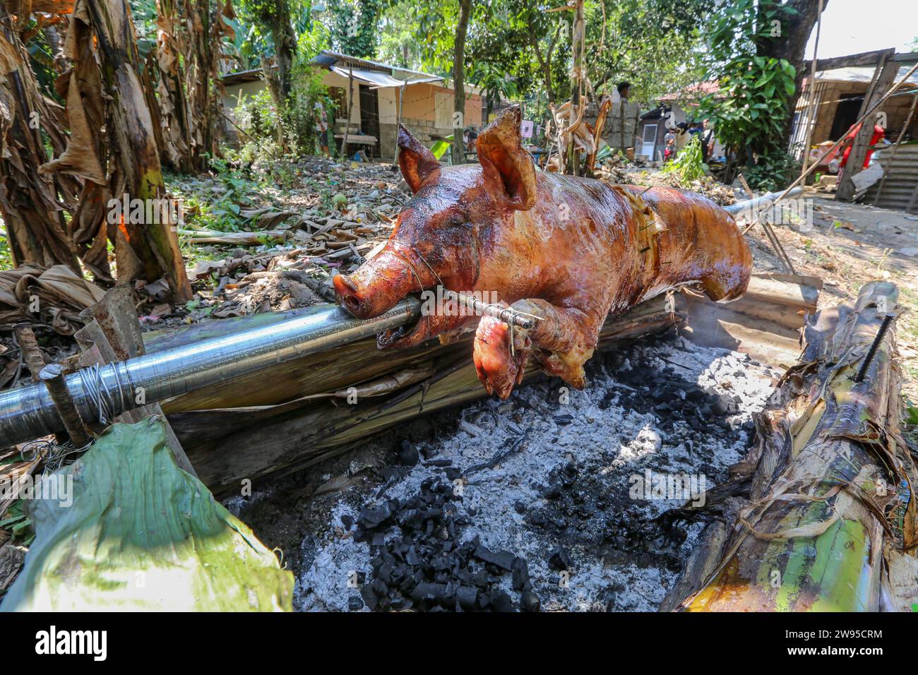 Calamba, Philippines. December 24, 2023 : Filipinos preparing suckling ...