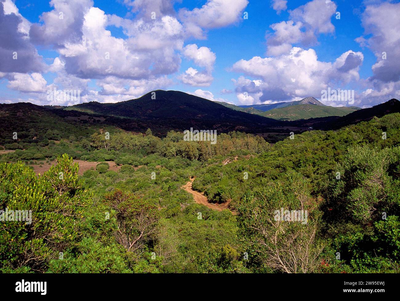 Landscape. Los Alcornocales Nature Reserve, Cadiz province, Andalucia ...