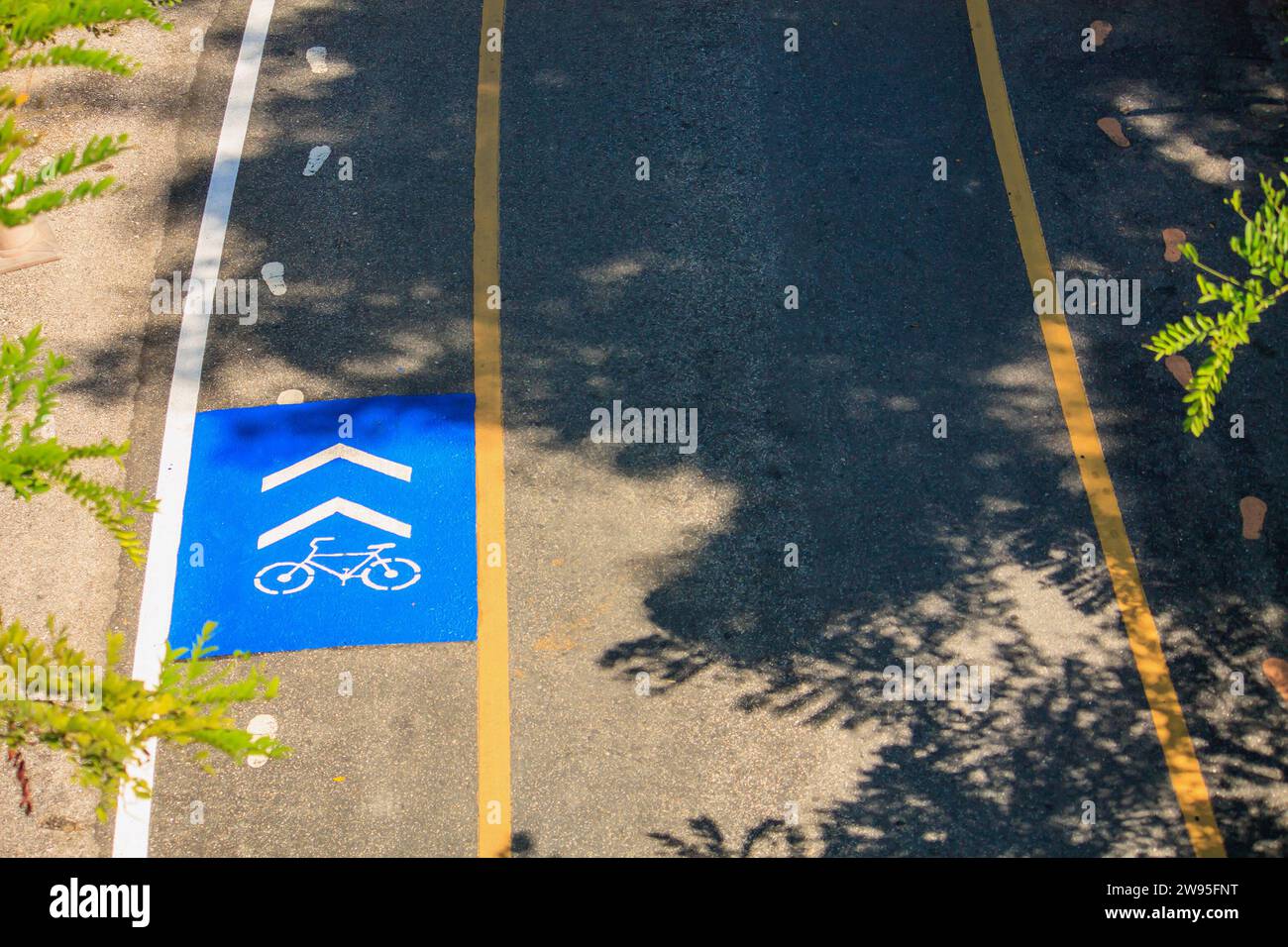 Bike lane signs. Dedicated bicycle lanes, designed to make cycling ...