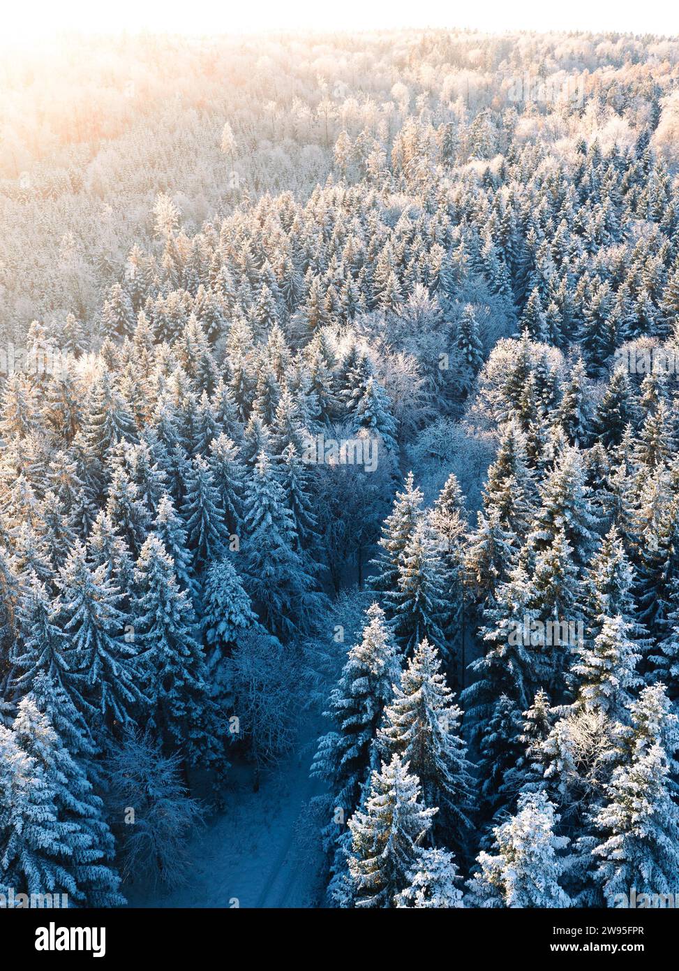 The first rays of sunshine of the day break through the snow-covered ...