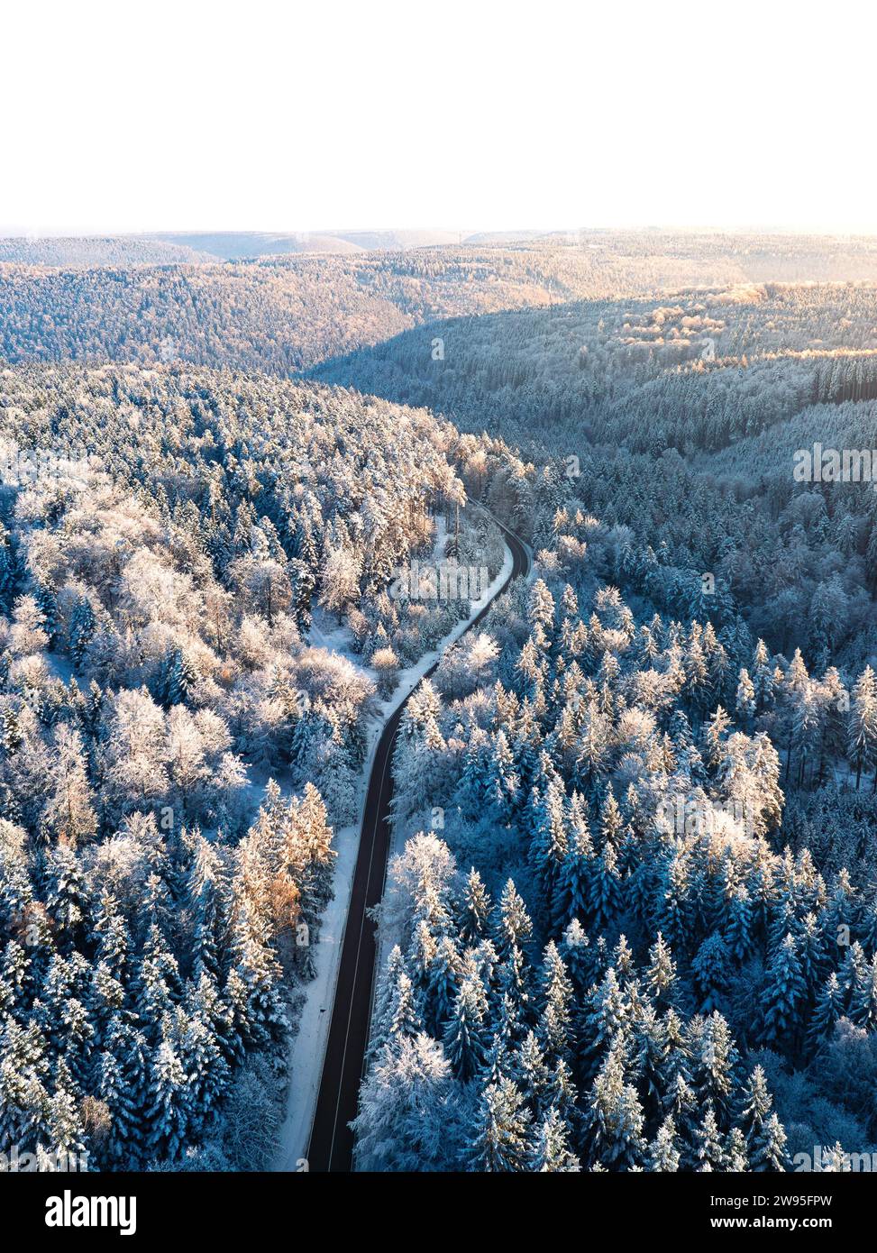 Snowy road winds through a wintry forest, aerial view, Dobel Black ...