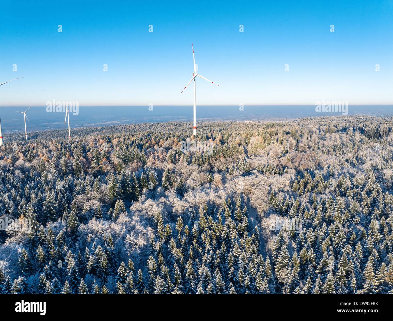 Wind turbines towering above a snow-covered coniferous forest under a ...