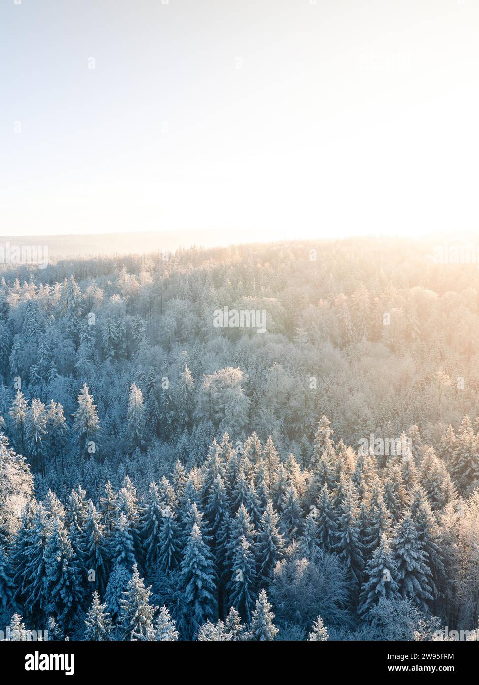 Aerial view of a frosty forest in winter, flooded with warm sunlight ...