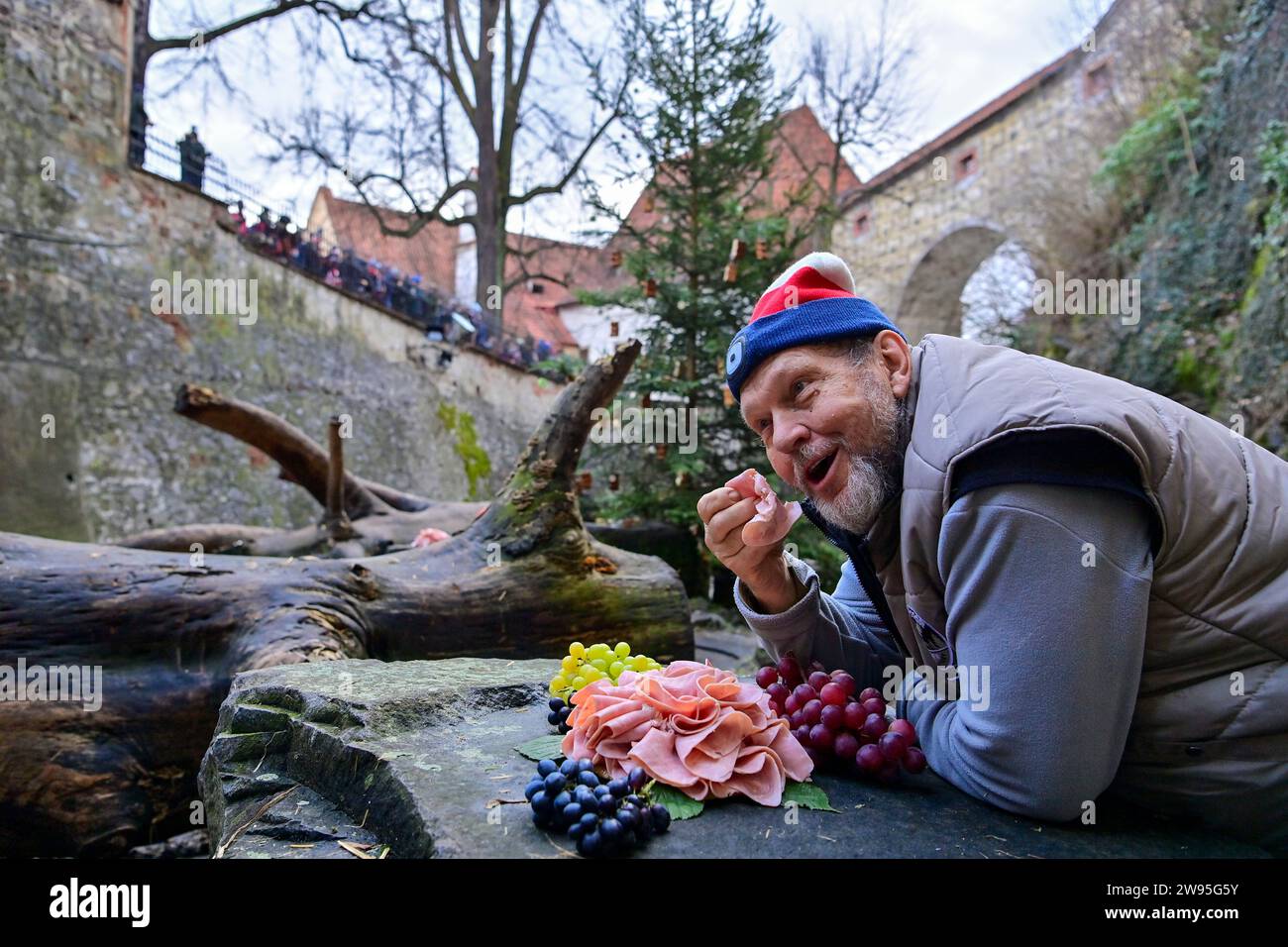 Traditional Bear Christmas took place at Medvedarium (bear enclosure ...