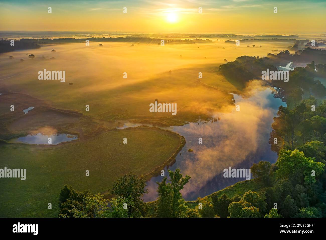 Aerial view, lake landscape, reed bed, foggy mood, sunrise, biotope ...