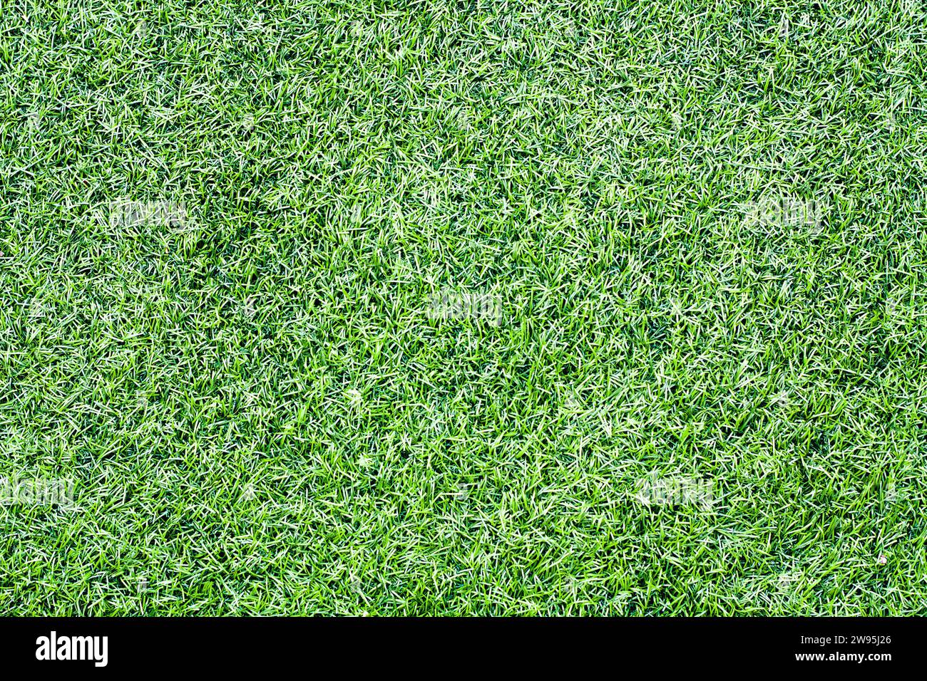 Baseball ground top view hi-res stock photography and images - Alamy