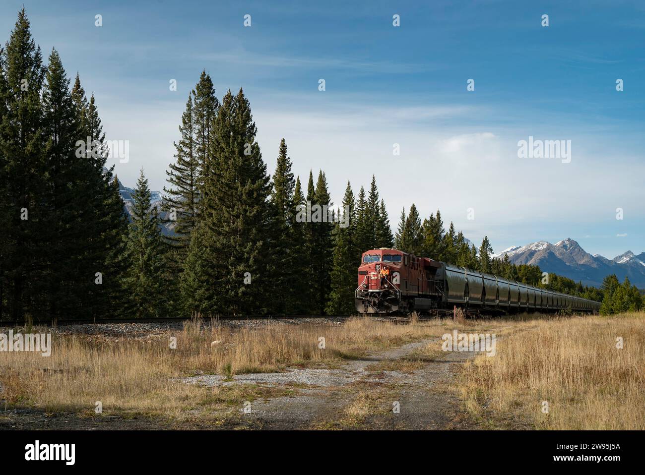 Freight train passes through Canadian Rockies Stock Photo - Alamy