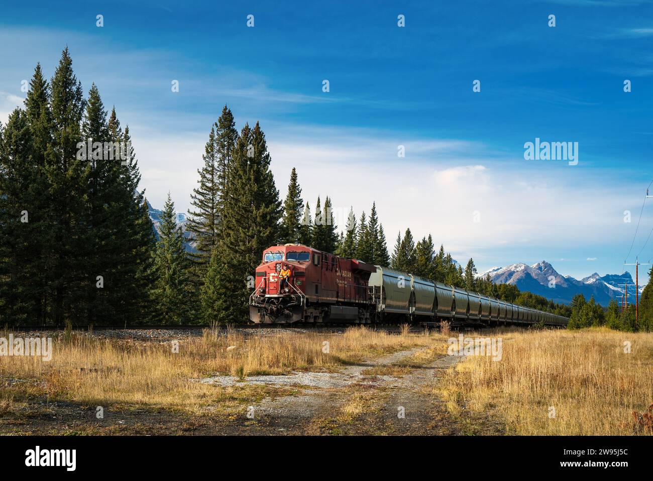 Freight train passes through Canadian Rockies Stock Photo - Alamy