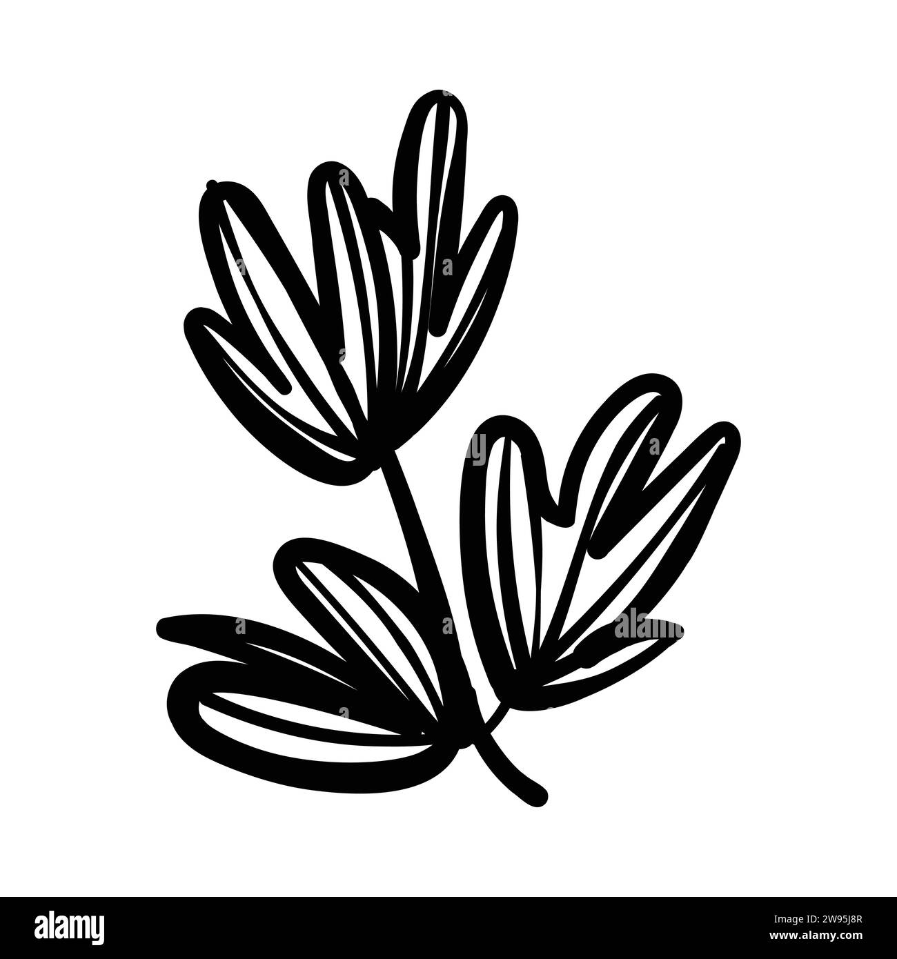 Hand drawn of leaf floral, doodle sketch leaves floral. leaf decoration ...