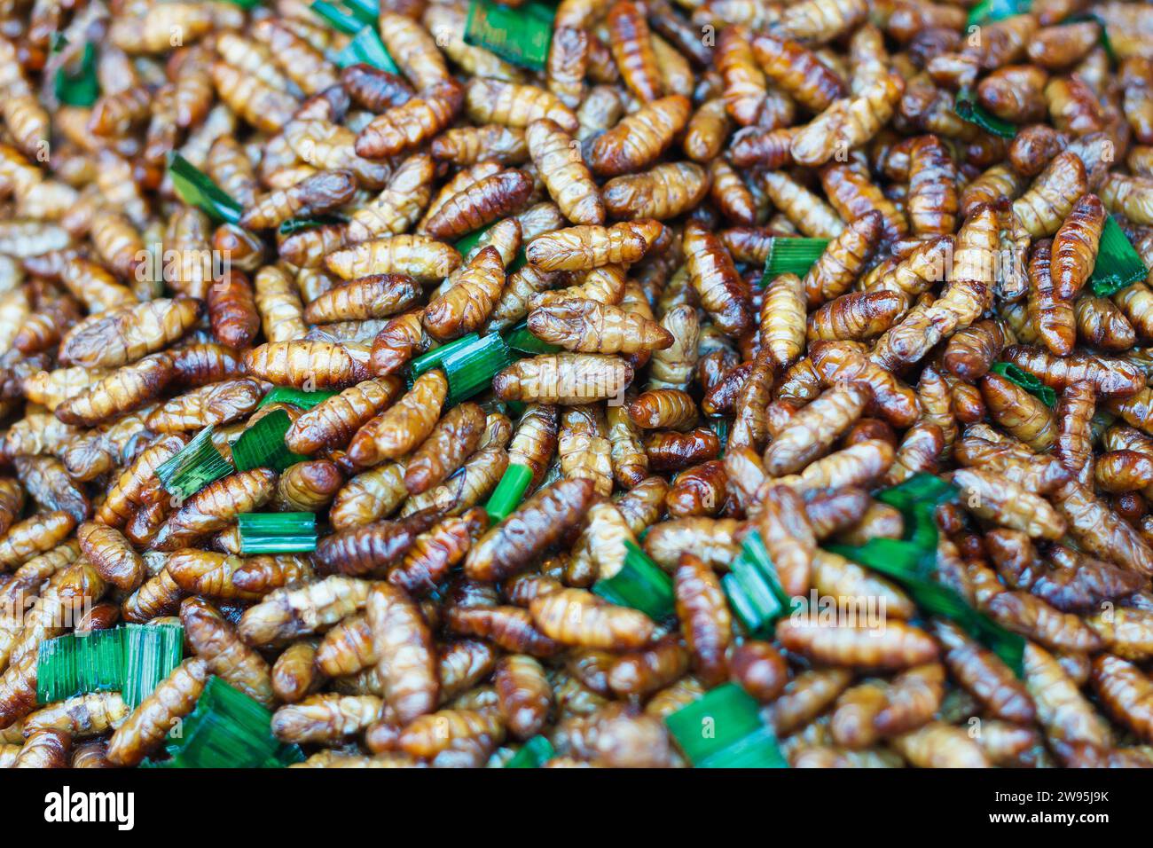 Fried insects, Exotic Asian food Stock Photo - Alamy