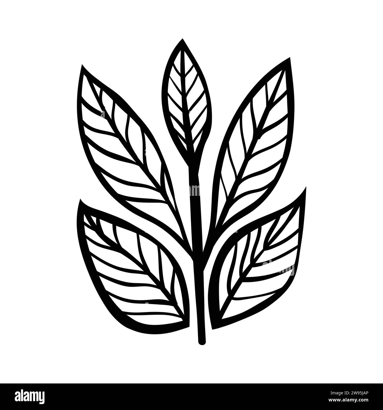 Hand drawn of leaf floral, doodle sketch leaves floral. leaf decoration ...