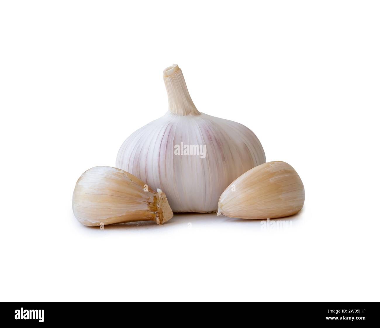 Single fresh white garlic bulb with segments is isolated on white ...