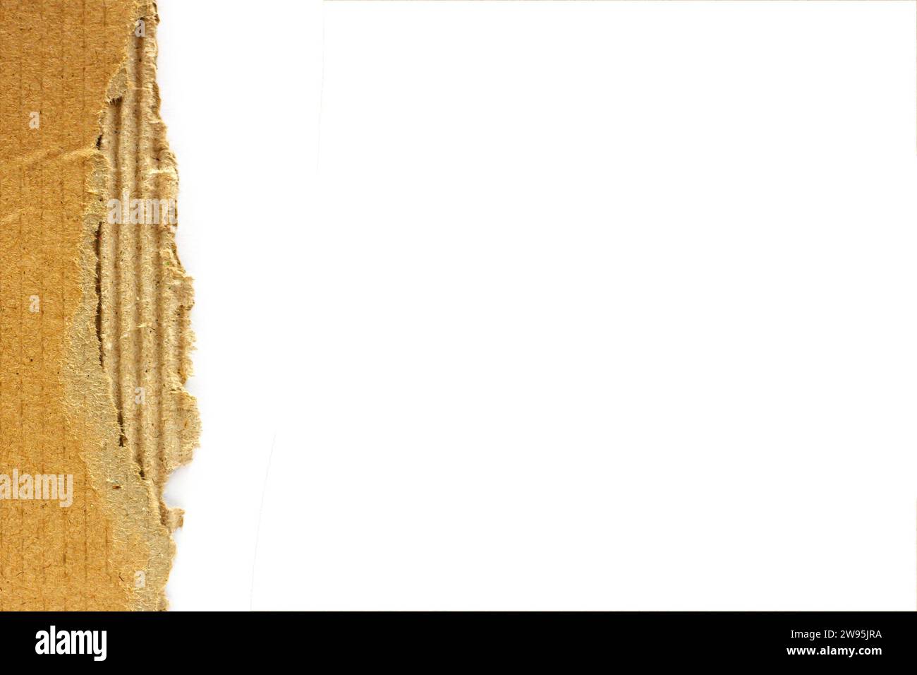 torn cardboard paper on white background Stock Photo - Alamy