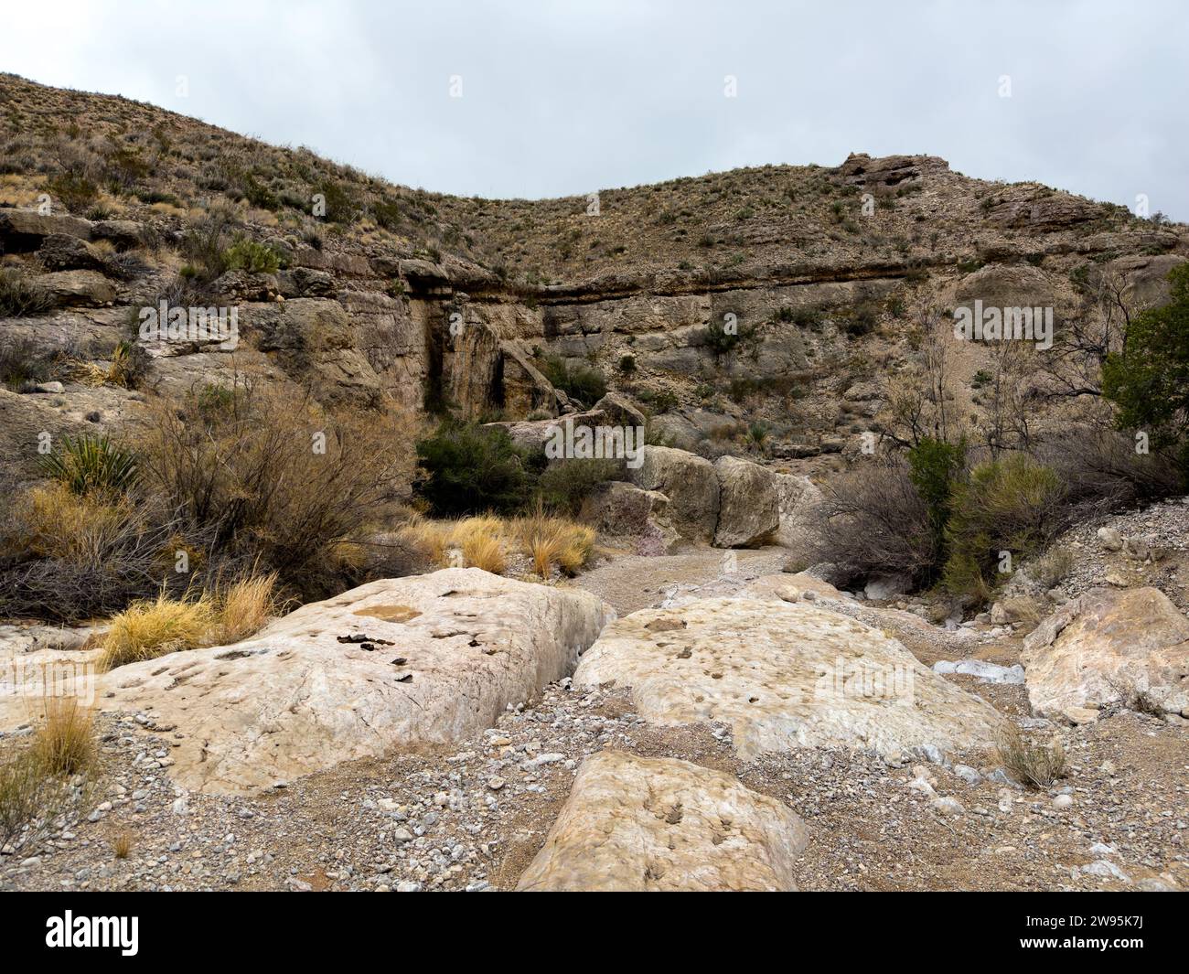 Strawhouse wash hi-res stock photography and images - Alamy