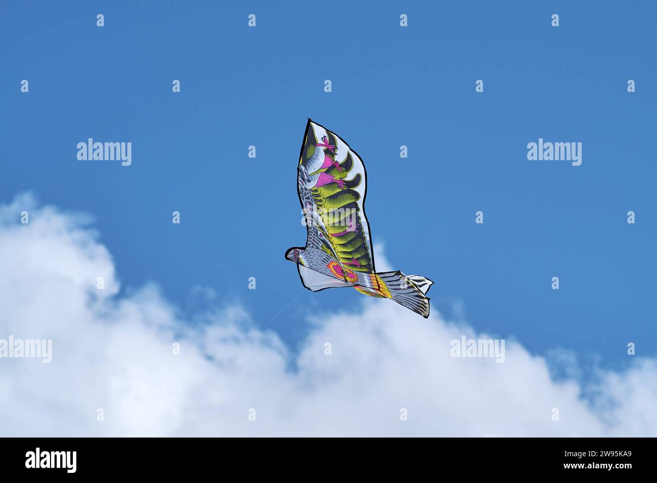 An outdoor kite flying festival. Kites are launched into the blue sky ...