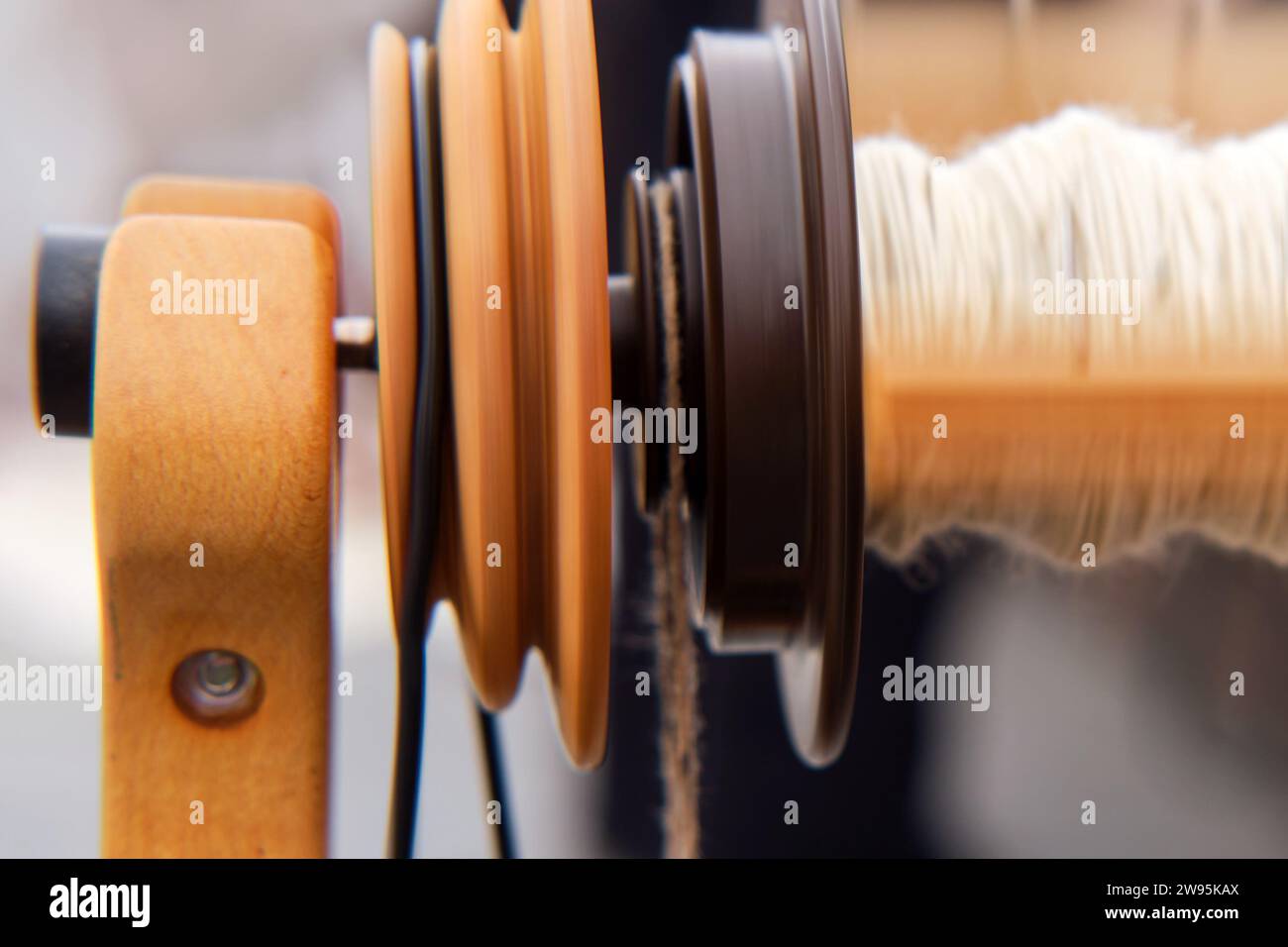 The fur of the sheep is carefully sheared off and then spun into wool ...
