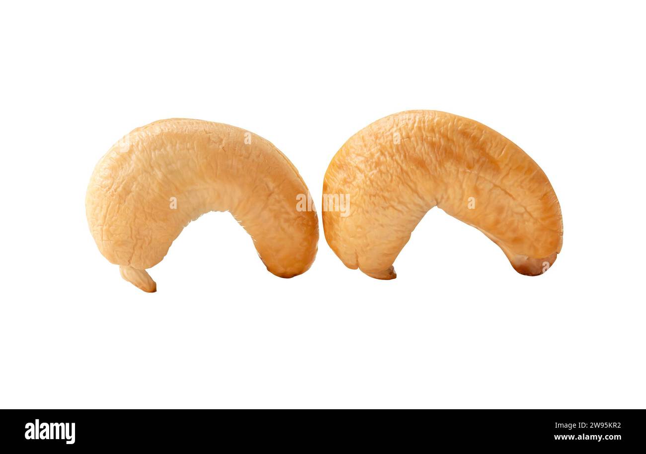 Front view of two Roasted brown cashew nuts are isolated on white ...