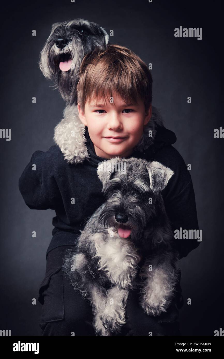 Child smiling with their pet miniature schnauzer dogs in a dark studio ...