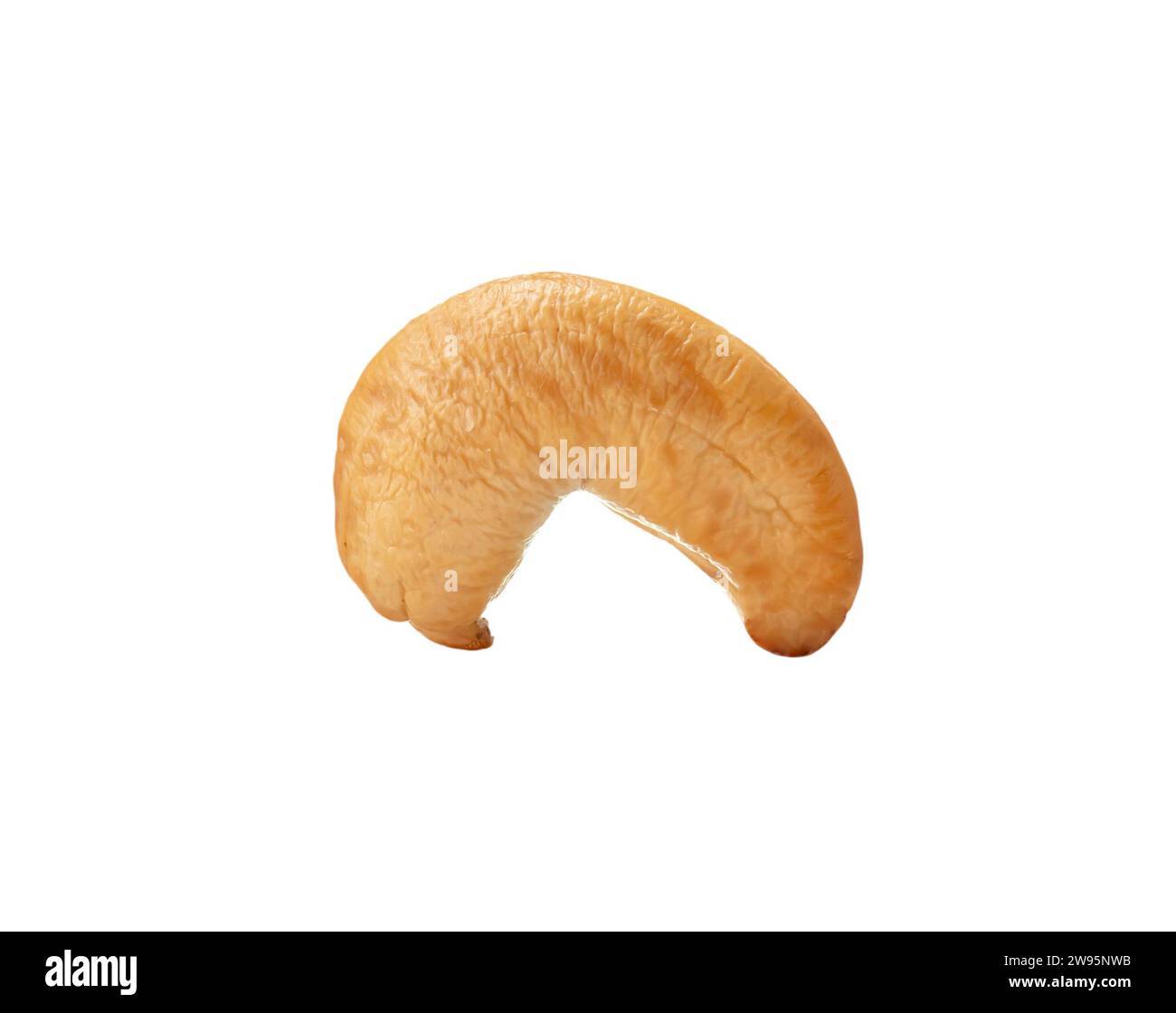 Close up of single roasted peeled cashew nut is isolated on white ...