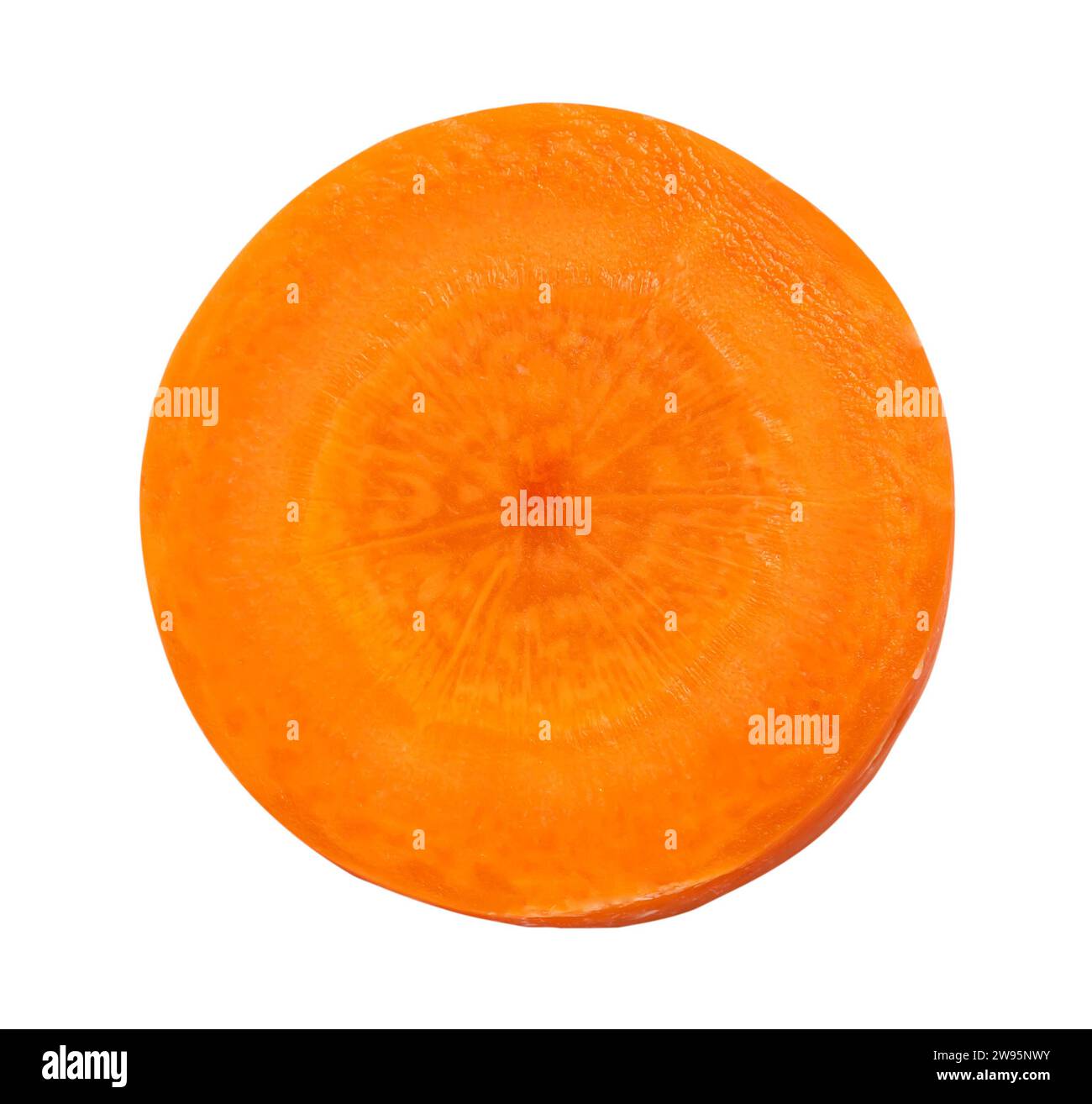 Top view and close up photo of single orange carrot slice is isolated ...