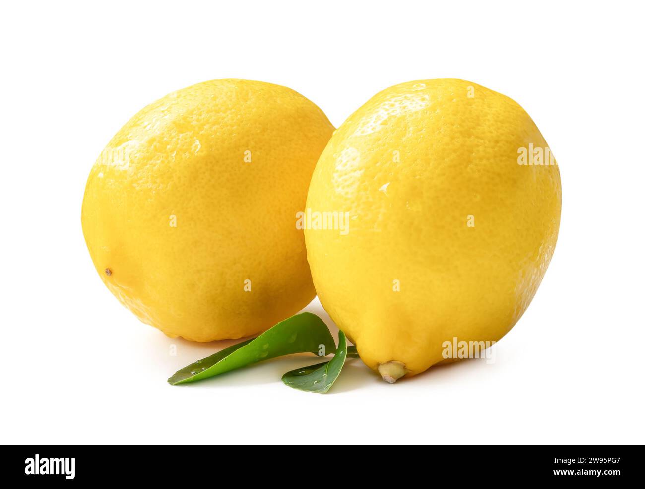 Two whole fresh beautiful yellow lemons with leaves are isolated on ...