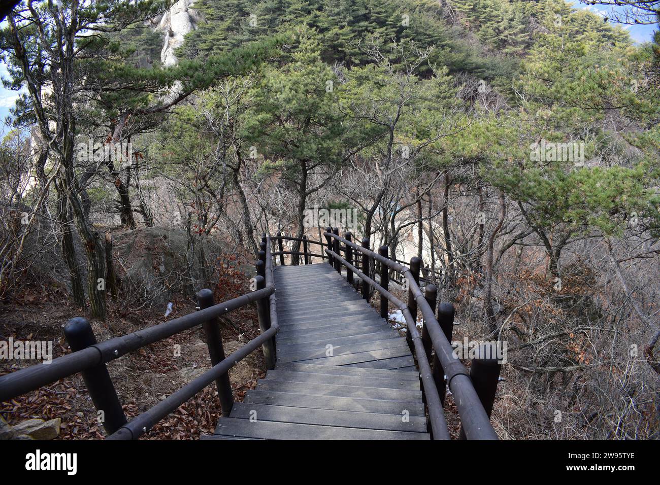 Wooden stairs going up a mountainside on a hiking trail in Bukhansan ...