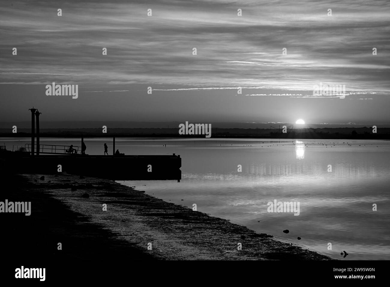 Blue avena grass Black and White Stock Photos & Images - Alamy