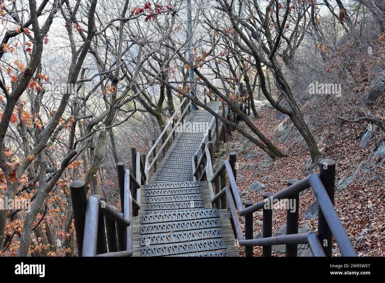 Wooden stairs going up a mountainside on a hiking trail in Bukhansan ...