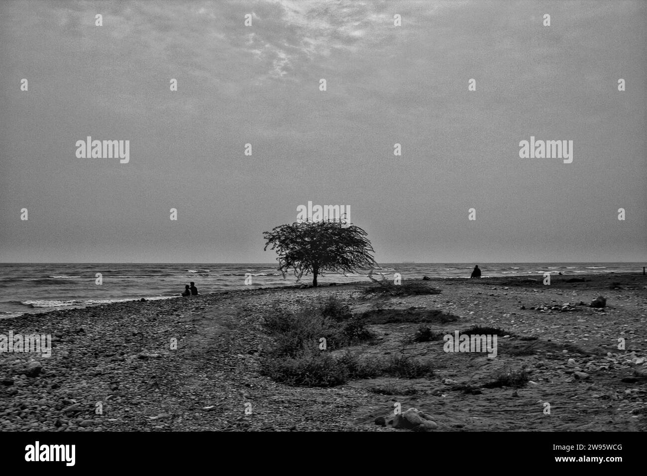 Do not pick wildflowers sign Black and White Stock Photos & Images - Alamy