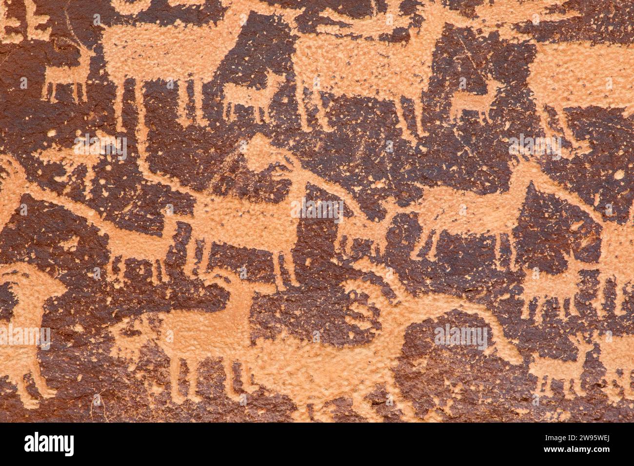 Great Hunt Panel petroglyphs, Nine Mile Canyon National Backcountry ...