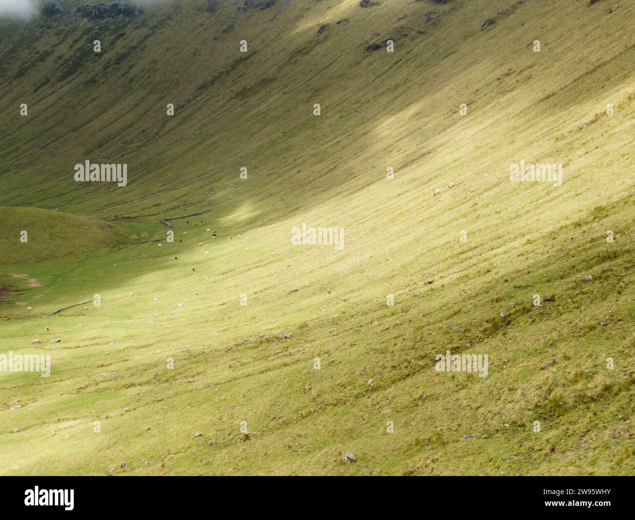 The Caldeirão do Corvo is the crater of an ancient extinct volcano that ...