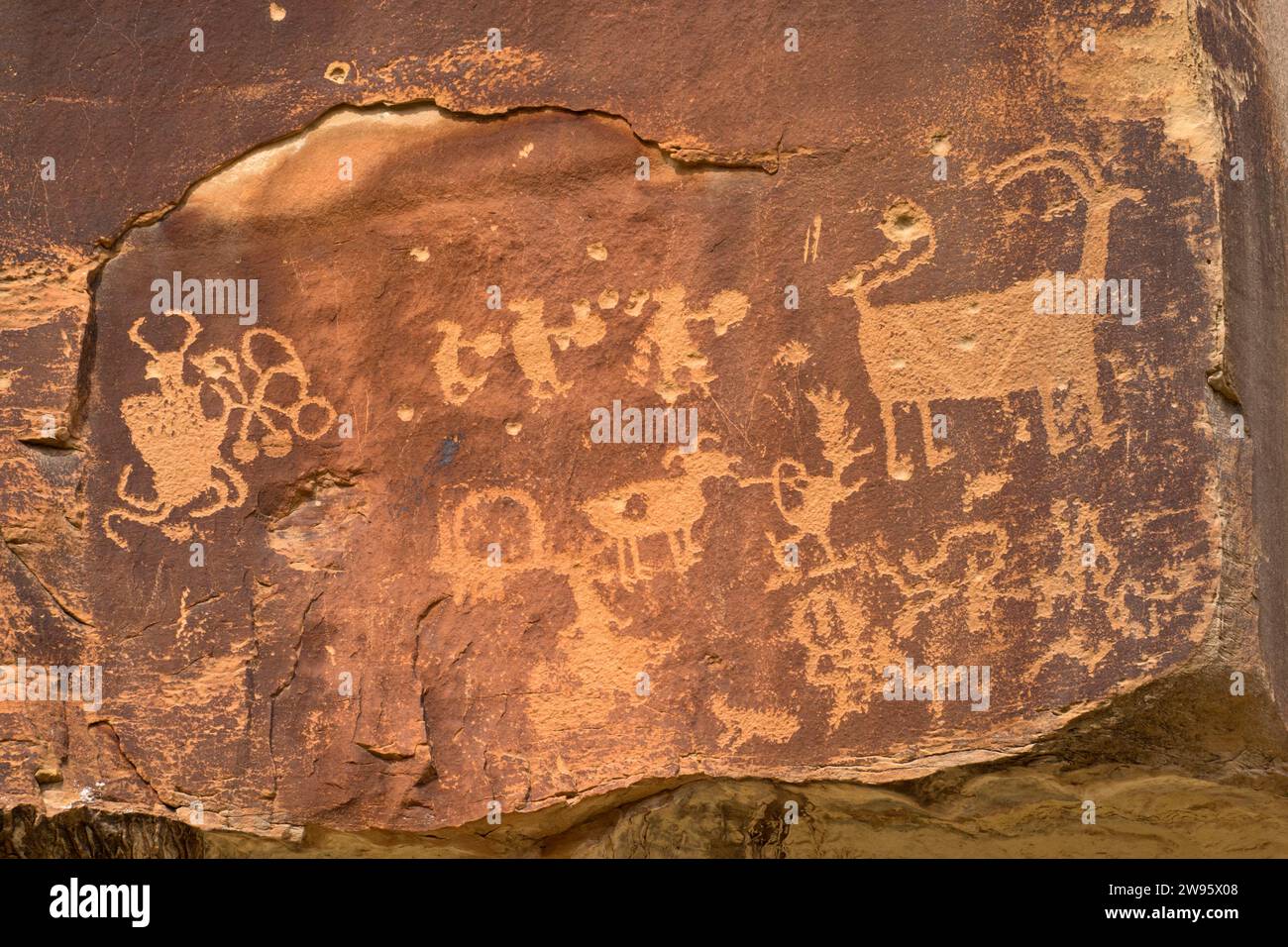 Petroglyphs, Nine Mile Canyon National Backcountry Byway, Utah Stock ...
