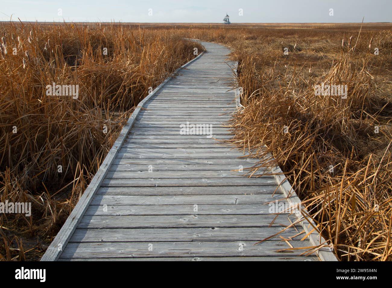 Marsh boardwalk, Great Salt Lake Shorelands Preserve, Utah Stock Photo ...