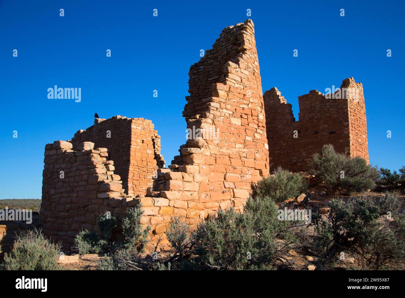 Hovenweep Castle, Hovenweep National Monument, Utah Stock Photo - Alamy