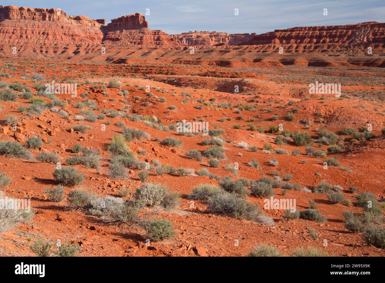 High desert, Valley of the Gods, Monticello Field Office Bureau of Land ...