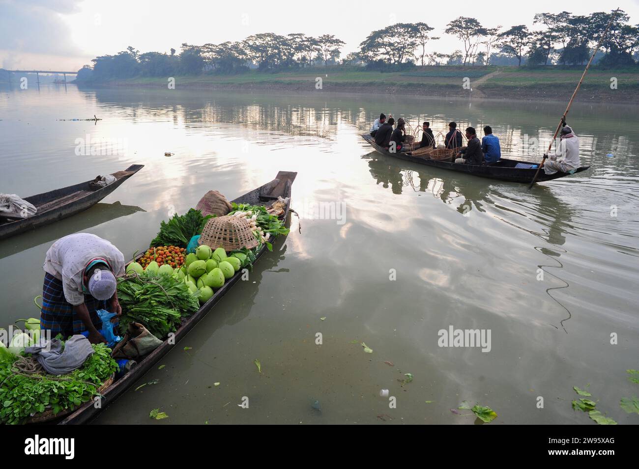 24 December 2023 Sylhet-Bangladesh: Farmers are bringing his cultivated ...