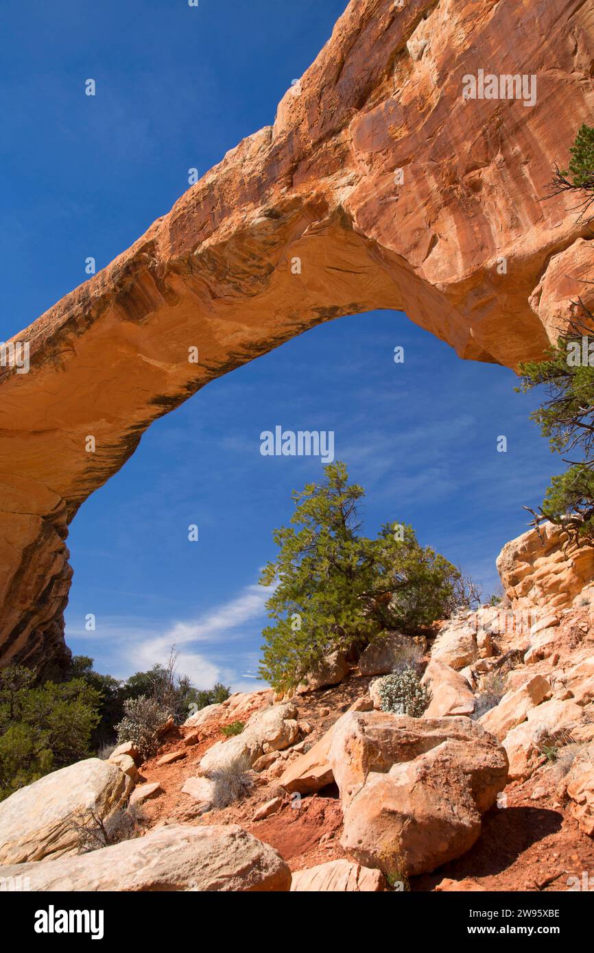 Owachoma Bridge, Natural Bridges National Monument, Utah Stock Photo ...