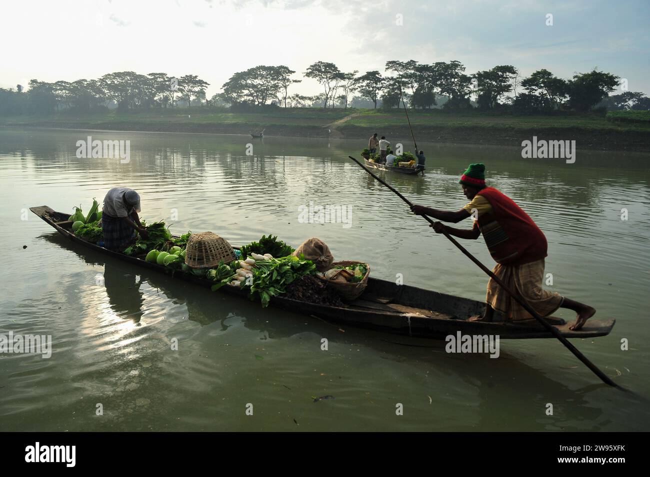 24 December 2023 Sylhet-Bangladesh: Farmers are bringing his cultivated ...