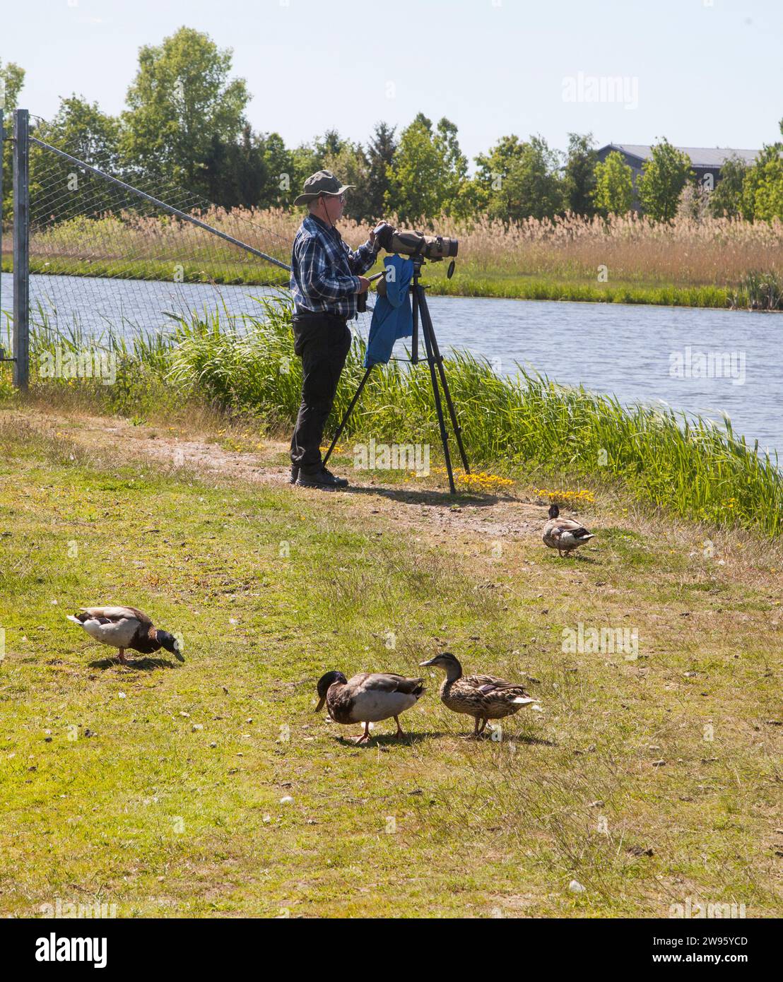 Watcher bird hi-res stock photography and images - Alamy