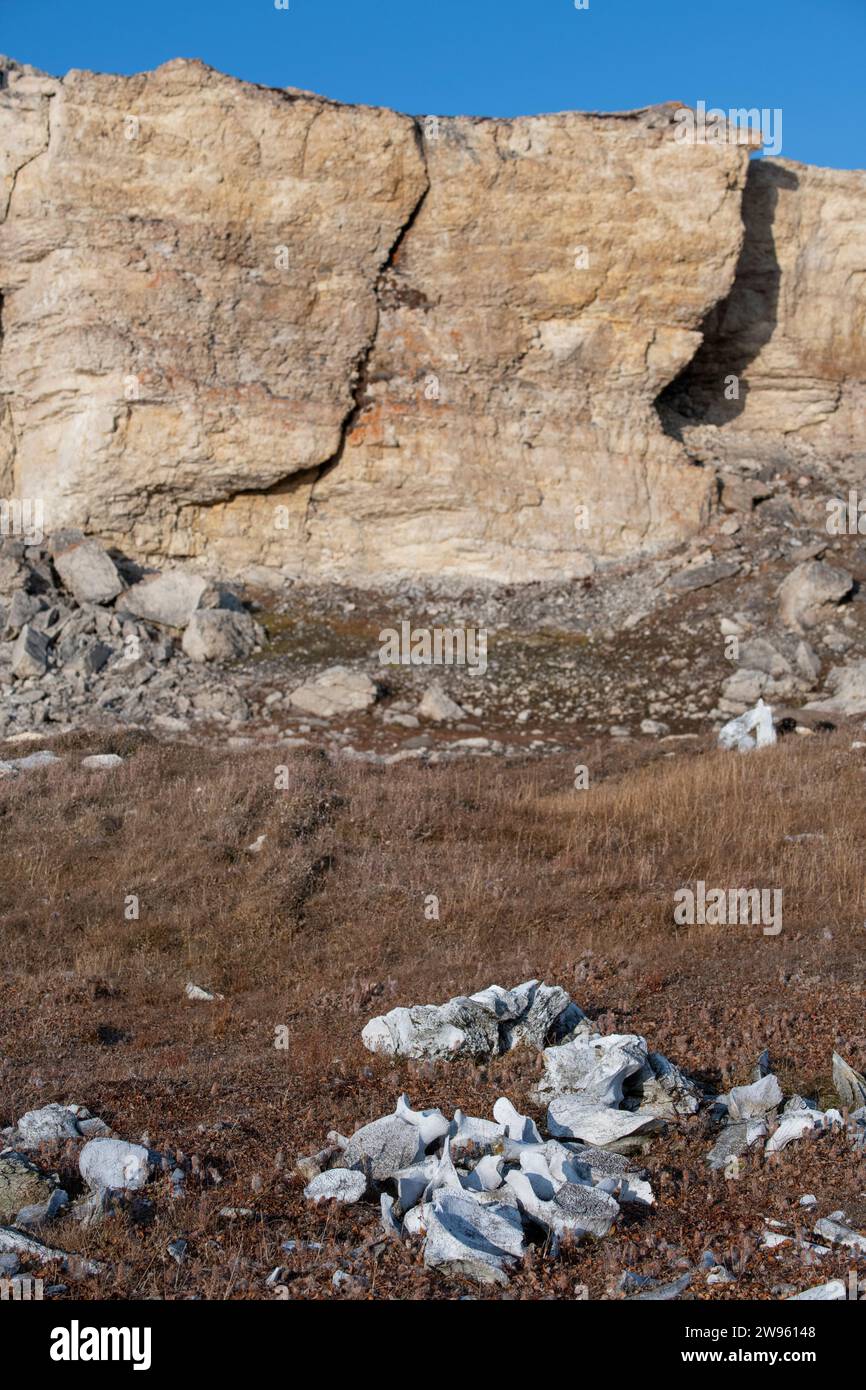 Canada, Nunavut, Somerset Island area. Historic Inuit community of ...
